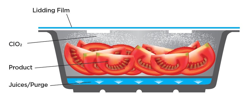 Active Packaging Innovations Include Edible Coatings and Nanotechnology ...