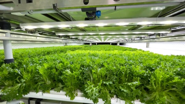 HALOPACK - Aptar – Food Protection